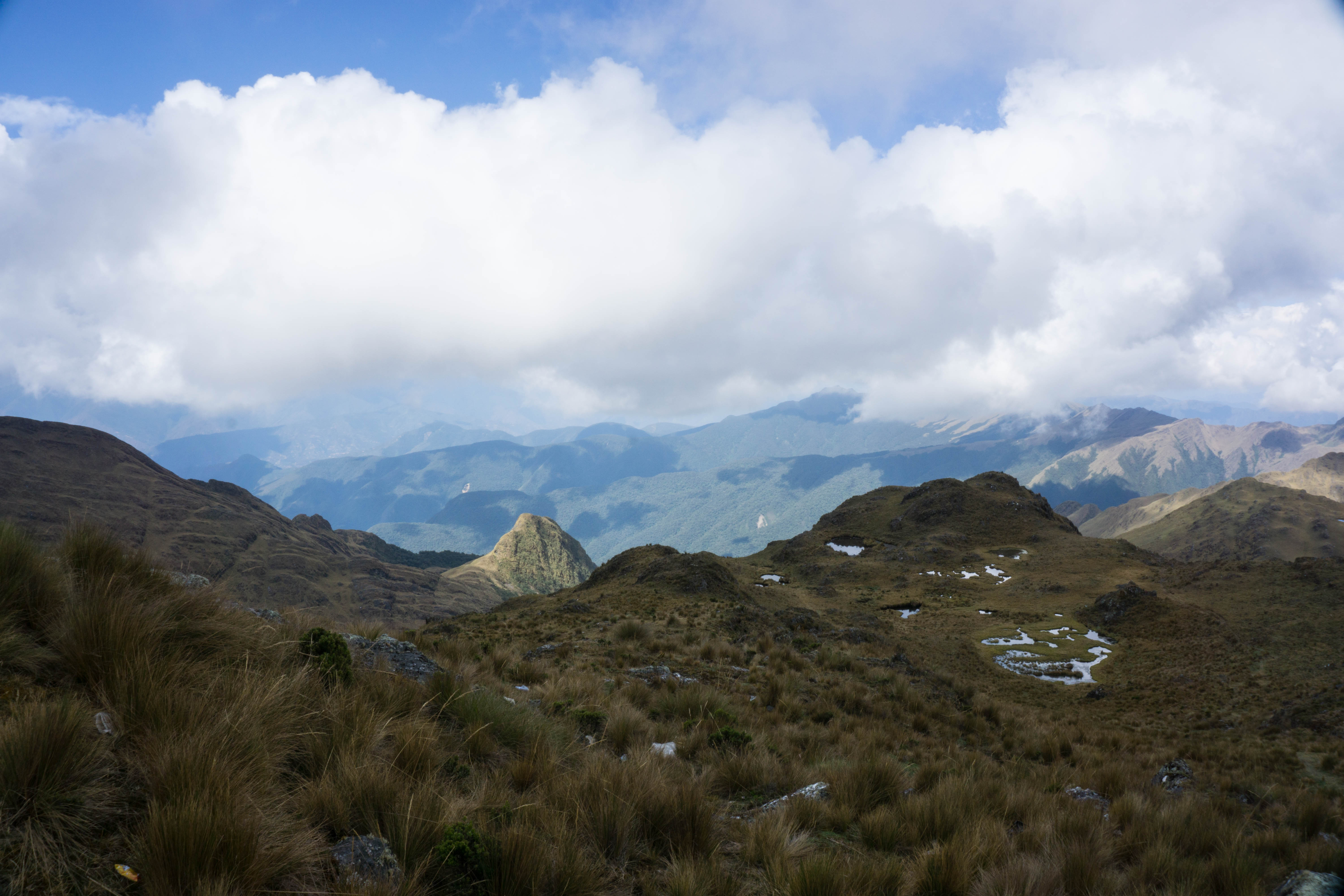 Welcome to the Jungle - der Yunga Cruz Trek